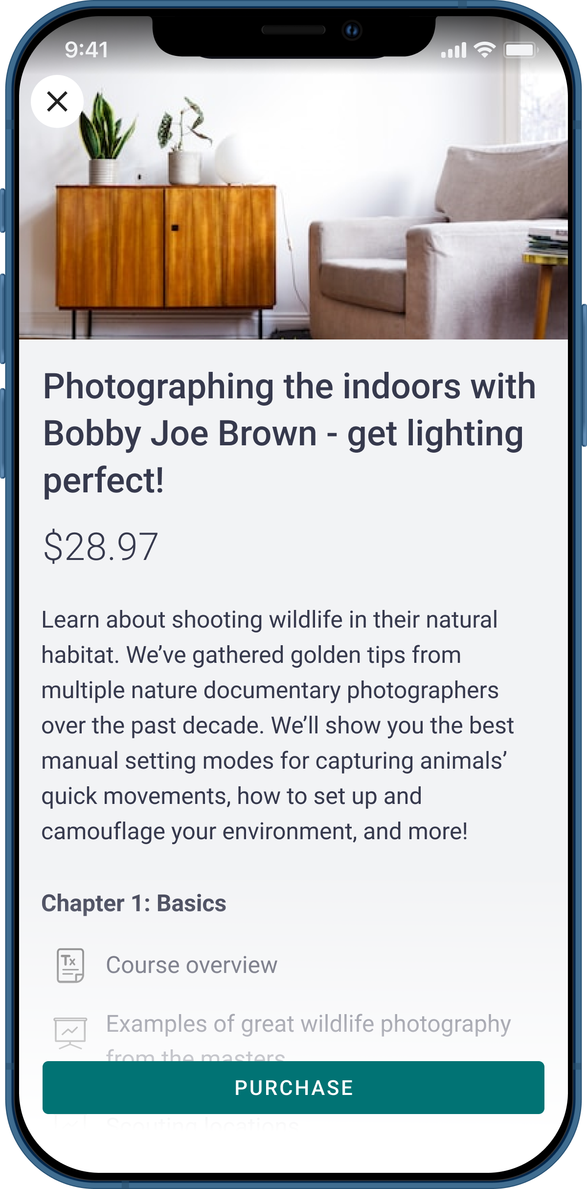 Branded Mobile: In-App Purchases – Thinkific